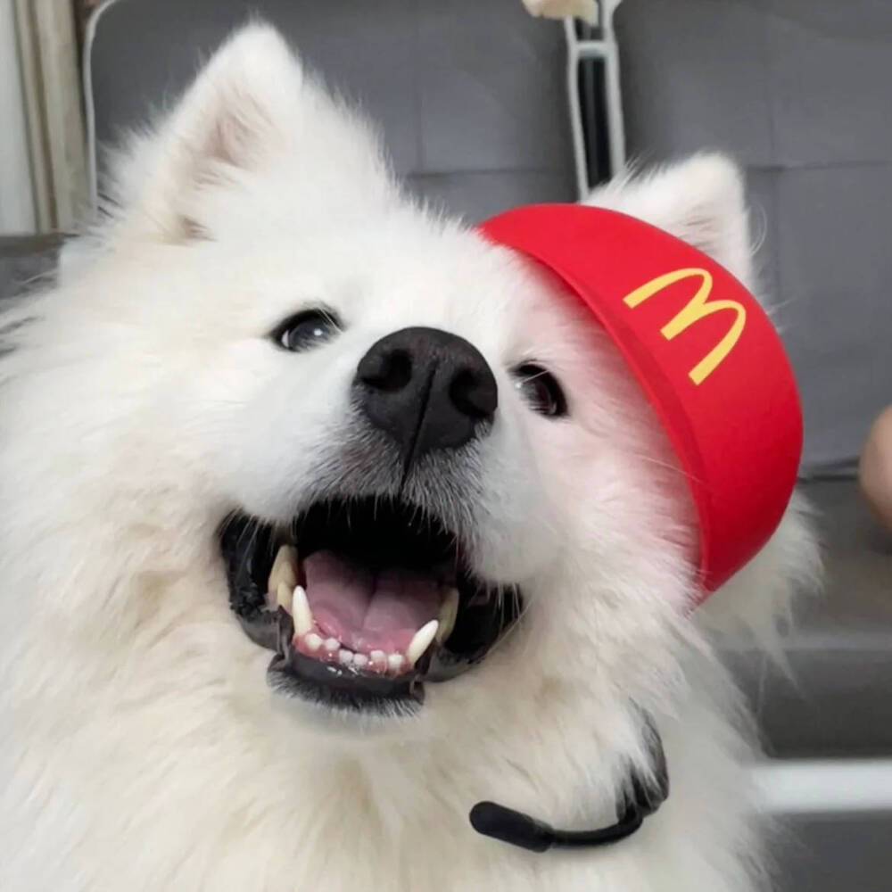 血皮树 Bloodbark_PC电脑/手机版_免下载点击即玩_畅玩3A大作鲸云漫游